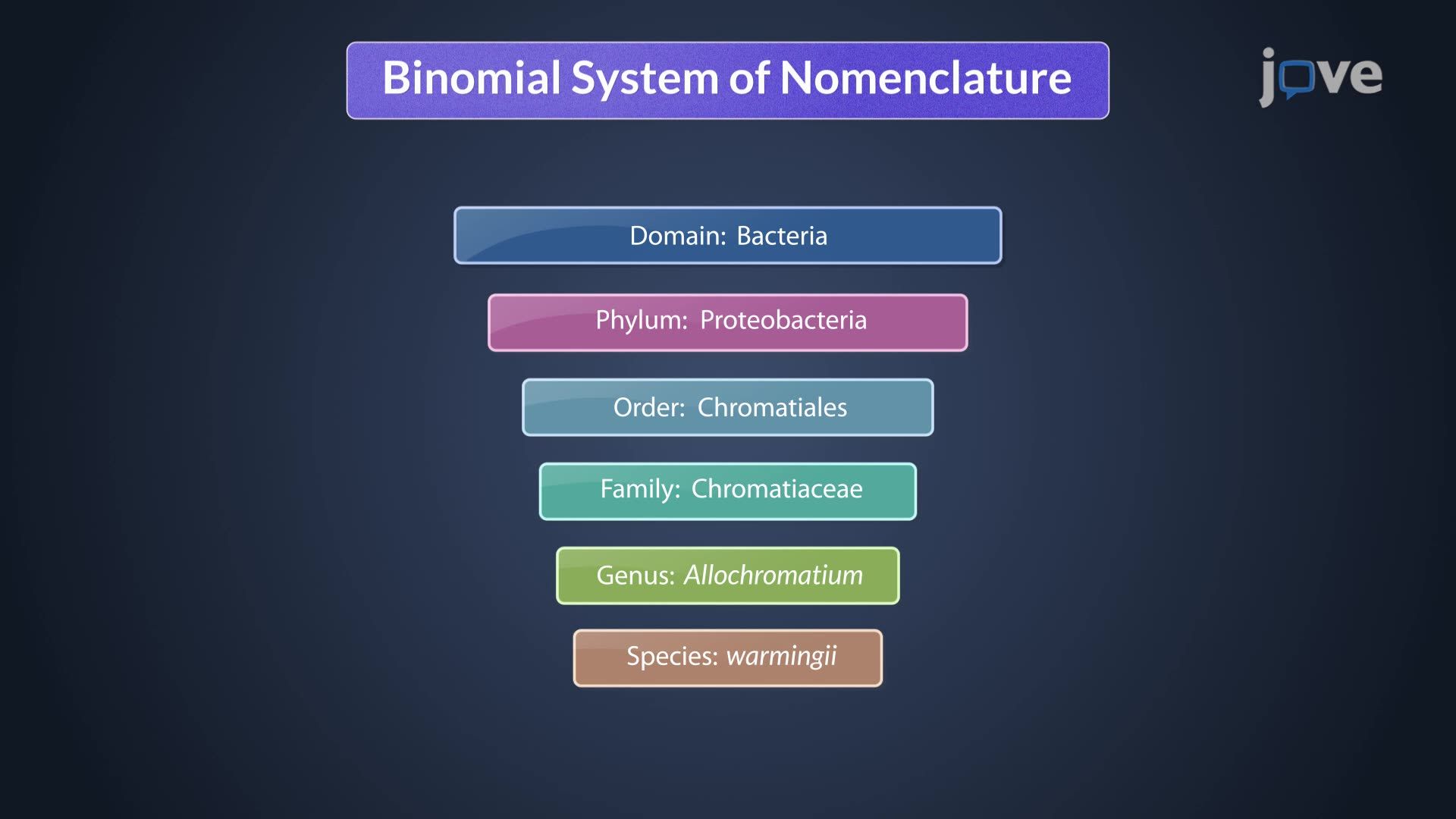 Vídeo: Microbial Classification System