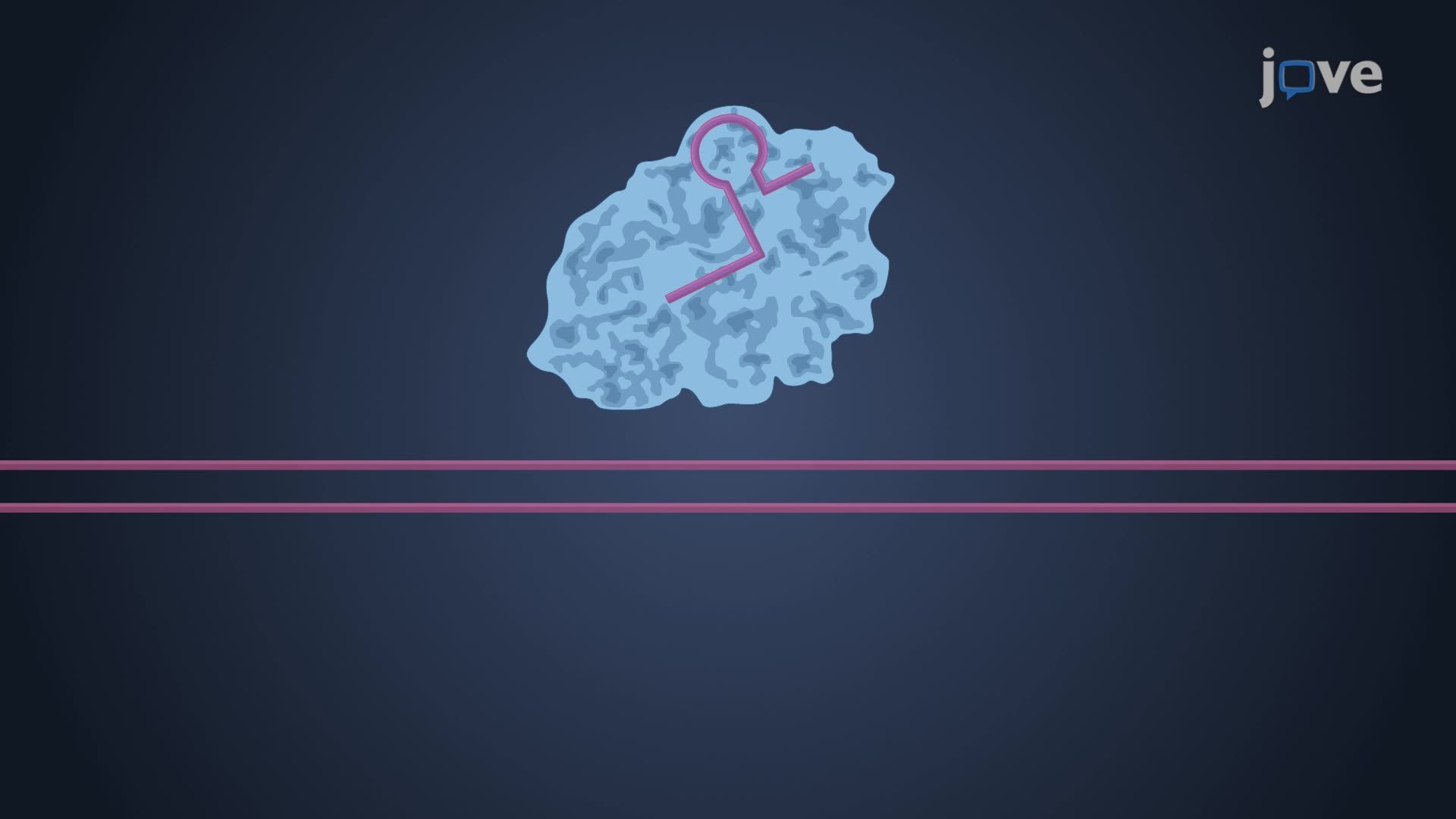 Video: Edición del genoma CRISPR/Cas9