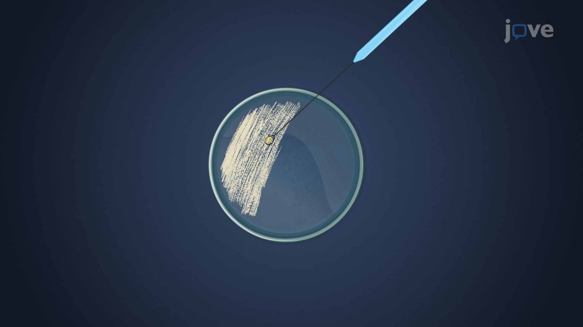 Video: Key Techniques in Microbiology