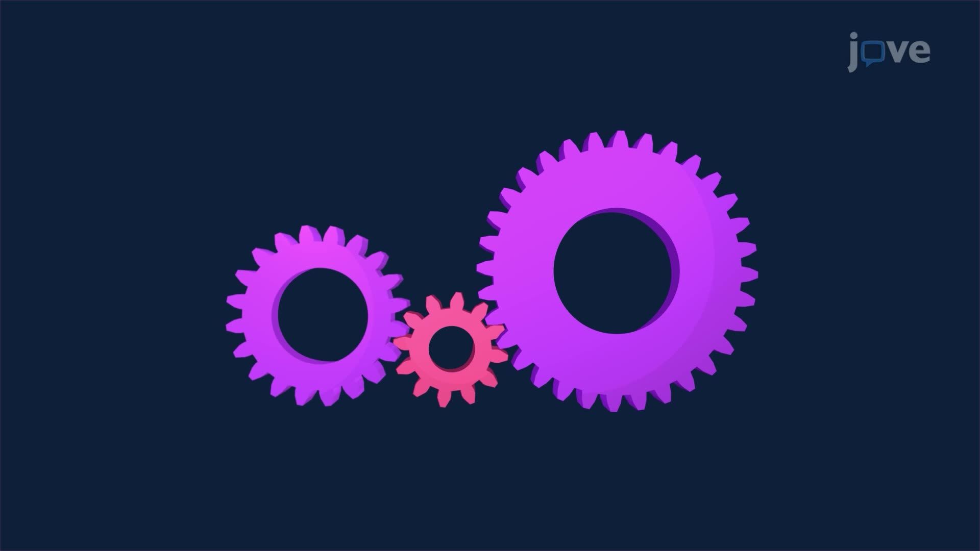 Video: La Regla de la Cadena