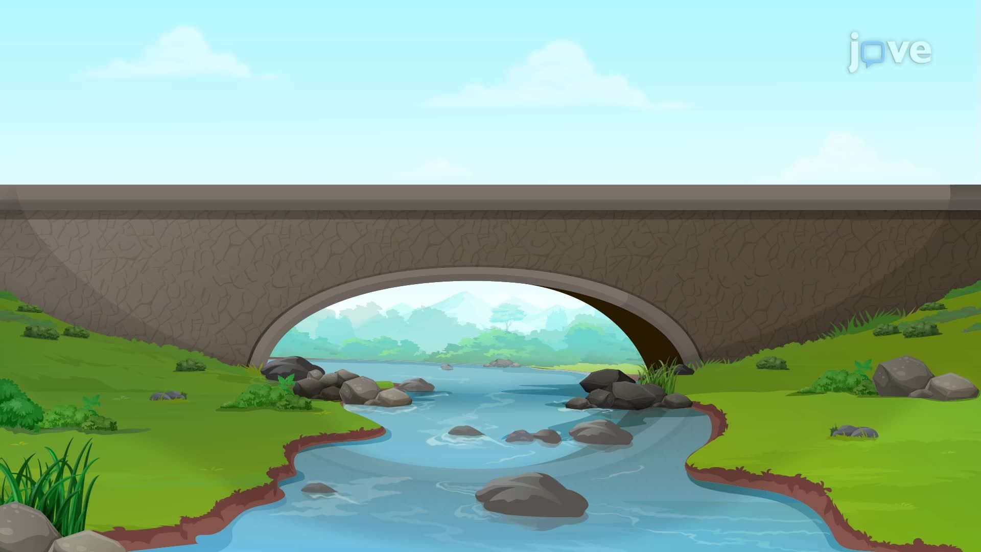 비디오: 암묵 함수의 2차 미분