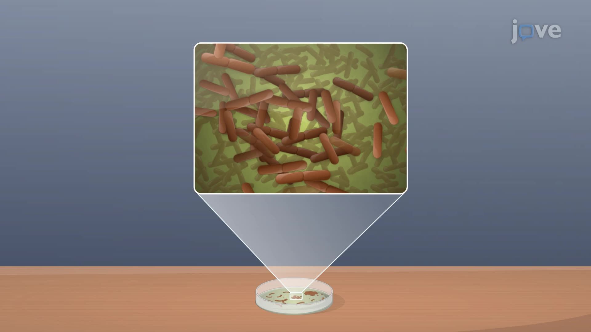 Video: Indeterminate Forms and L’Hôpital’s Rule