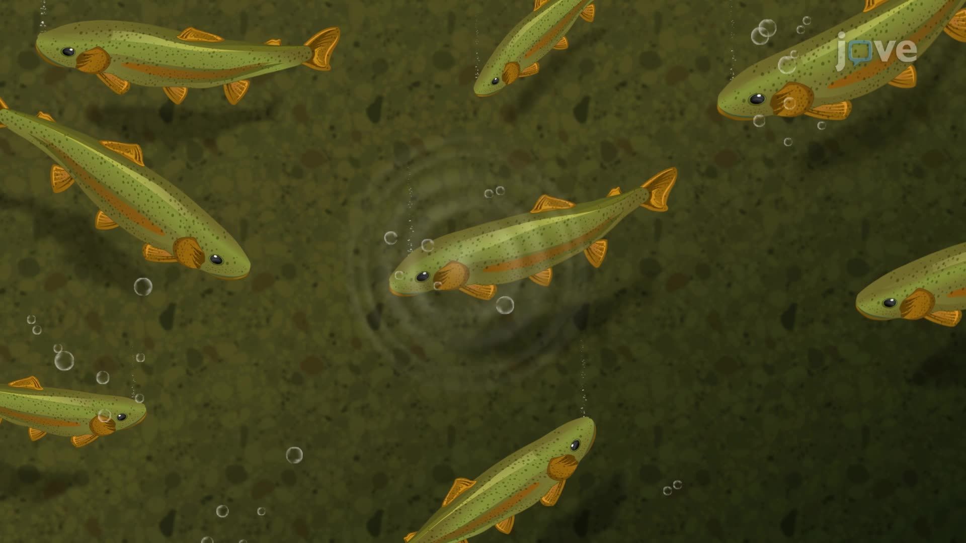 Video: Growth Models with Integration: Problem Solving