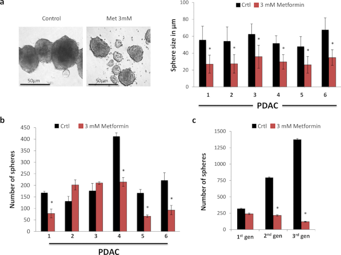 PDAC Stem Cell Isolation: A Method to Isolate Cancer Stem Cells from ...