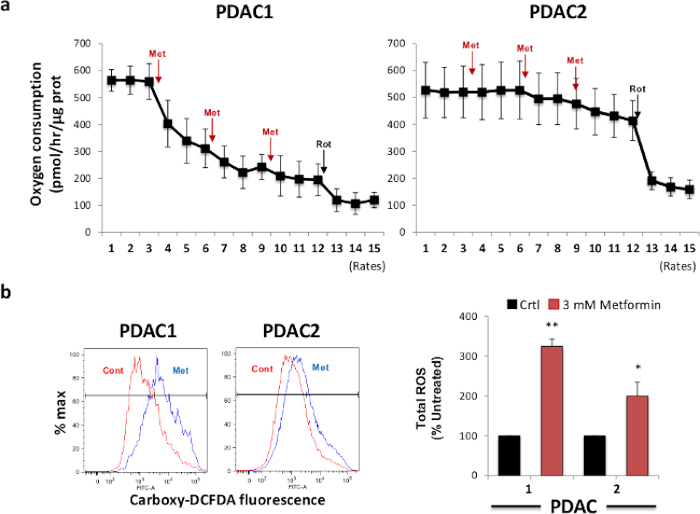 Sphere Formation Assay: An In Vitro Method to Identify Pancreatic ...