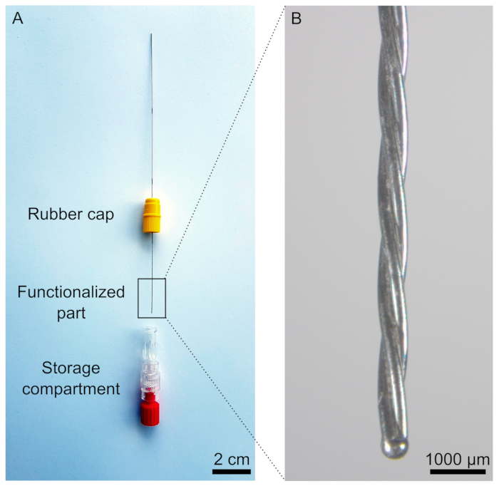 Functionalized Wire-based Target Cell Isolation: An Ex Vivo Technique ...