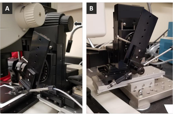 Mosquito Embryo Microinjection: A Technique to Deliver Exogenous DNA ...