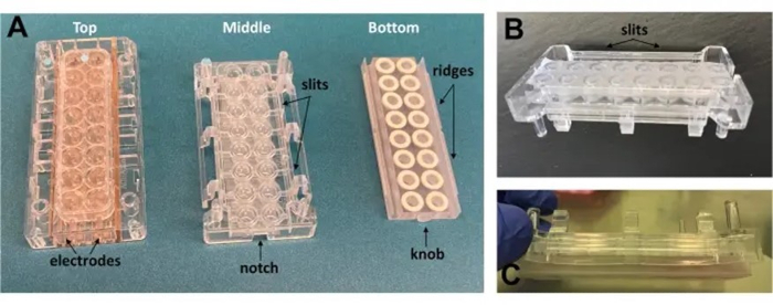 Three-Chambered Array-Based Impedance Assay: A Real-Time Analysis ...