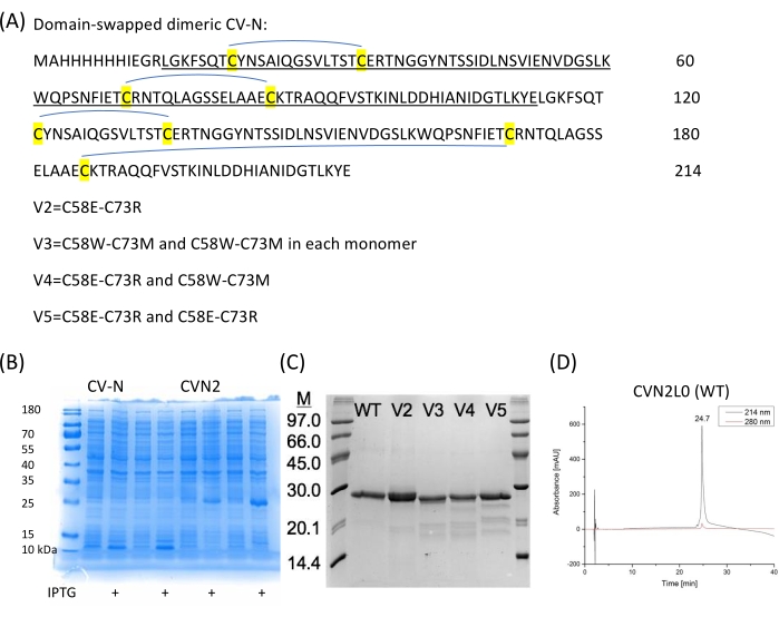 Surface Plasmon Resonance to Study Biomolecular Interactions Using a ...