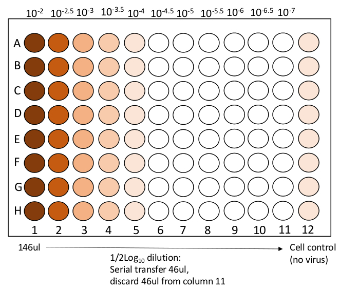 A Microneutralization Assay to Measure Neutralizing Antibody Titers in ...
