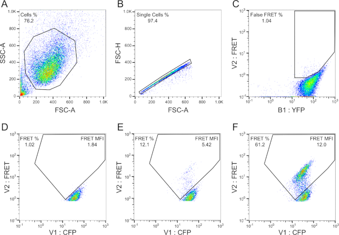 A FRET Flow Cytometry Technique to Detect Tau-Seed Induced Reporter ...