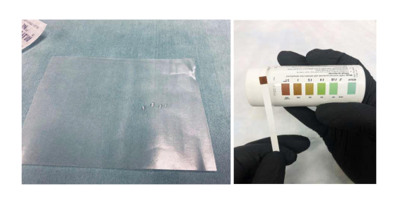 Assays for Qualitative and Quantitative Assessment of Mouse Urine ...