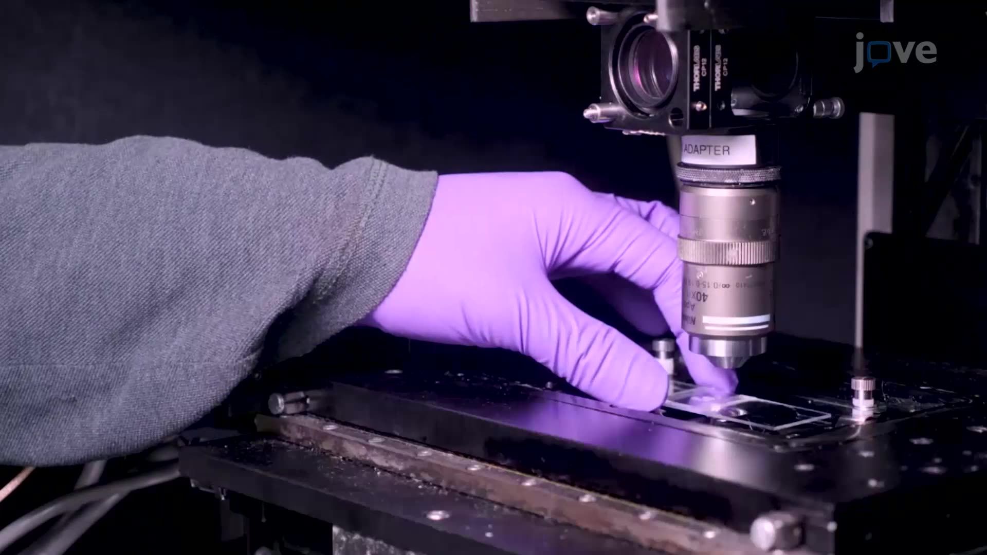 Vidéo: Two-Color Stimulated Raman Scattering Imaging of Mouse Brain ...