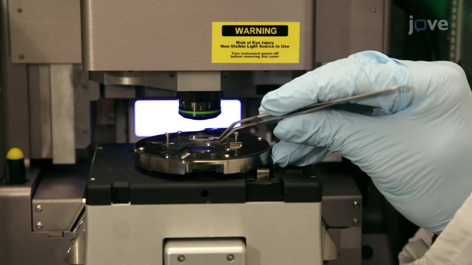 ビデオ: Imaging Polysomes Isolated from a Mouse Brain Using Atomic Force Microscopy - 実験