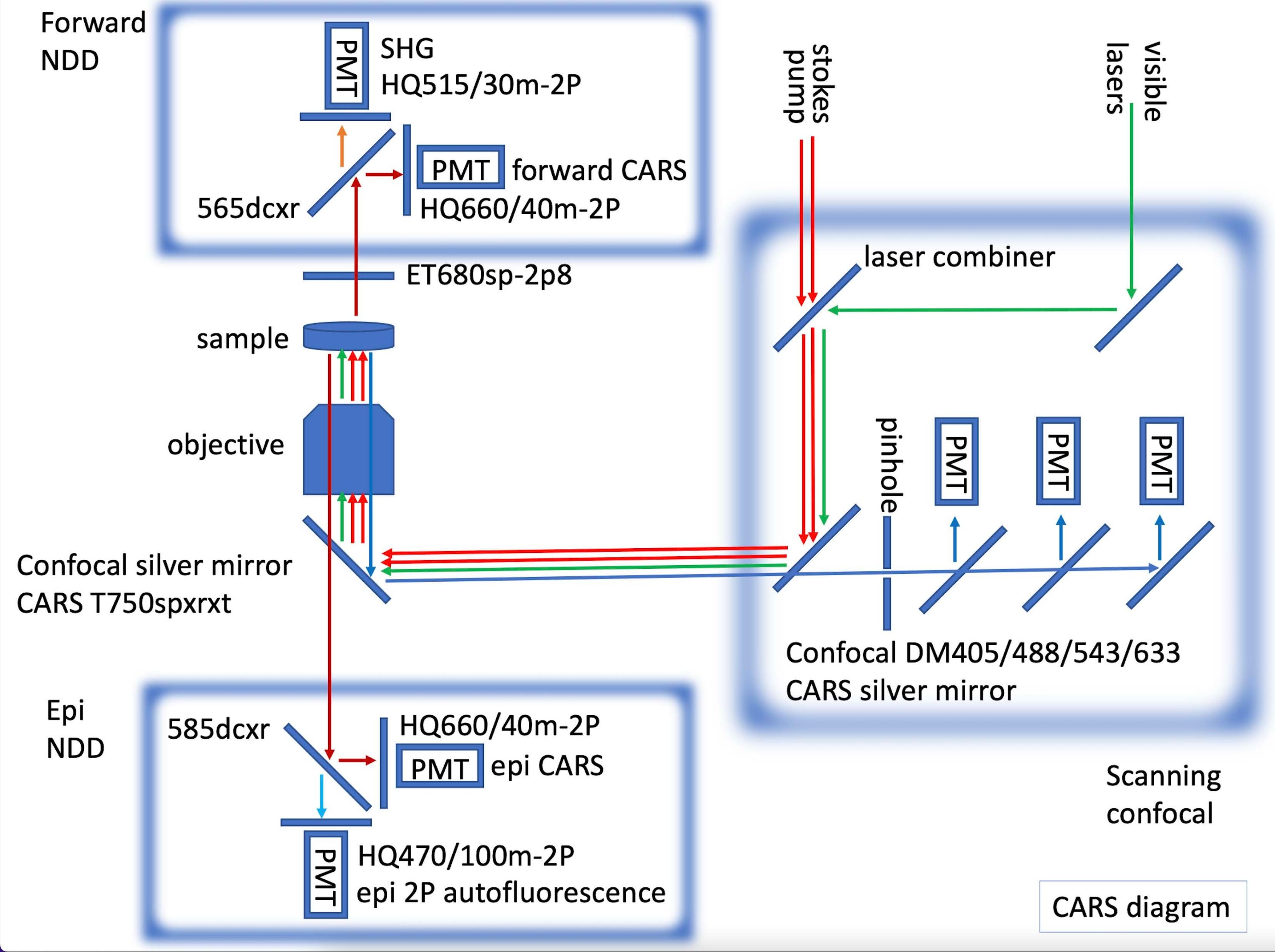 Coherent Anti-Stokes Raman Spectroscopy to Visualize Myelinated Neurons ...