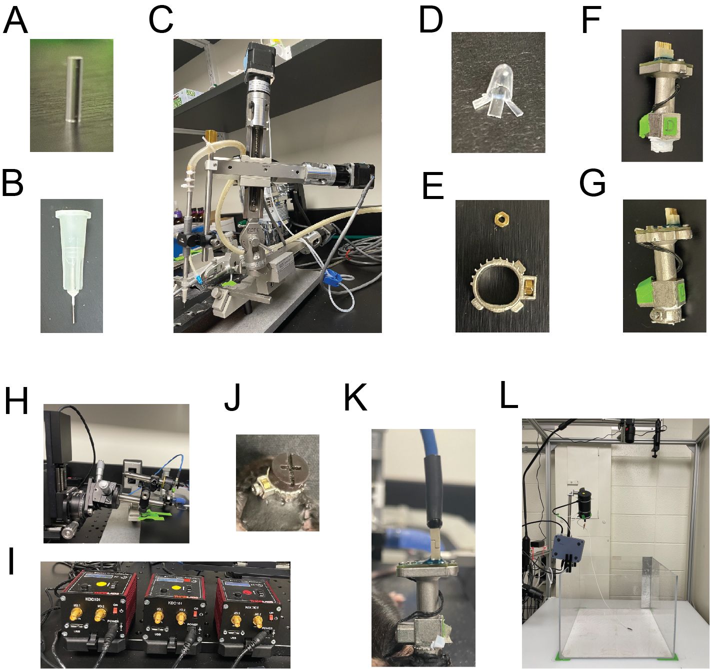 Real-Time Calcium Imaging of a Mouse Medial Prefrontal Cortex Using a ...