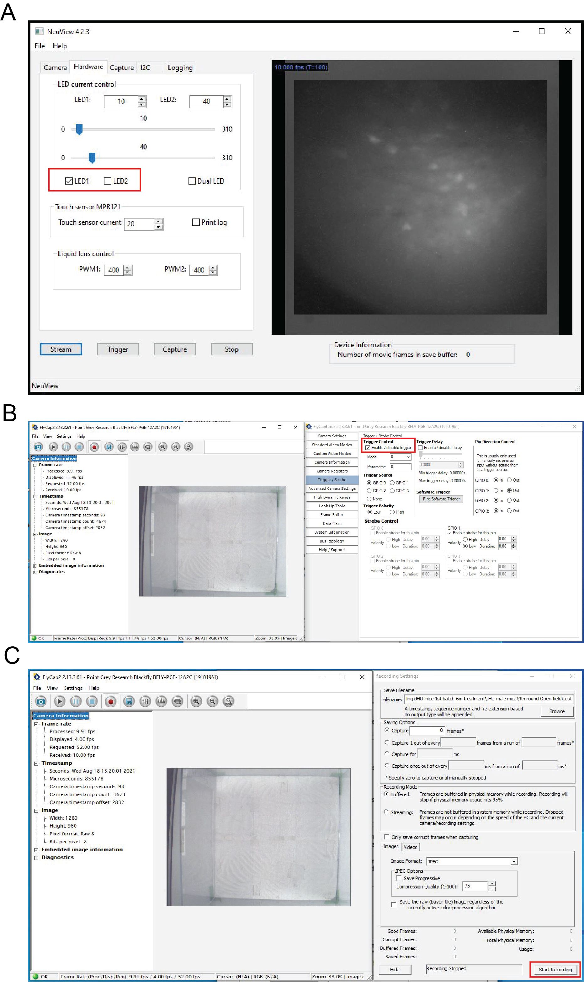 Real Time Calcium Imaging Of A Mouse Medial Prefrontal Cortex Using A Miniscope