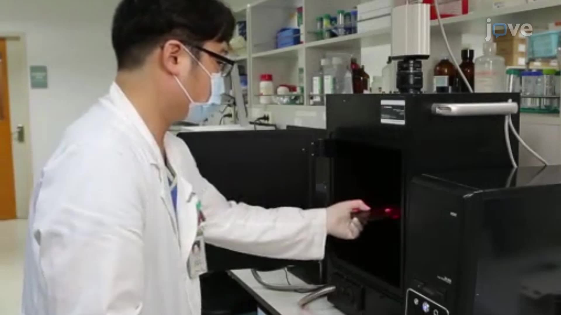 Video: Visualization of Mouse Cerebral Thrombi Using Near-Infrared ...