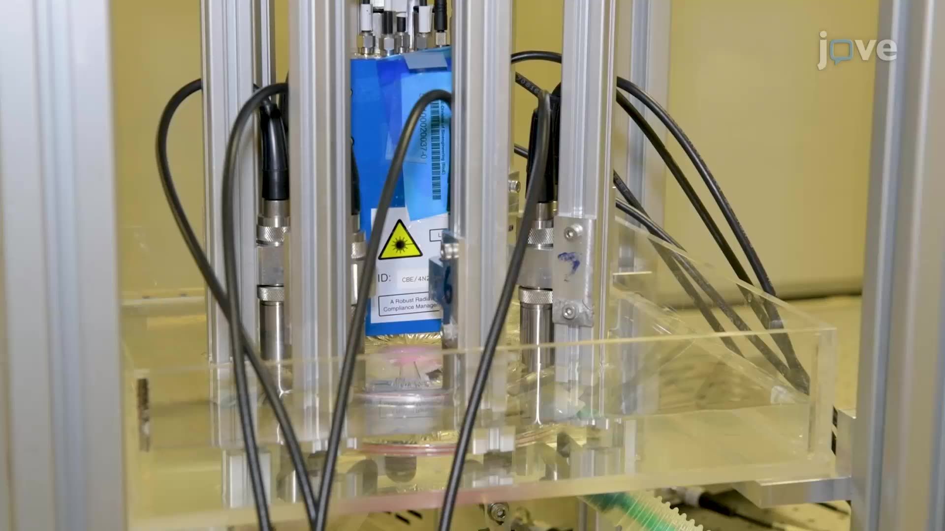 Video: Photoacoustic Monitoring of Dye Movement in Cortical Blood ...