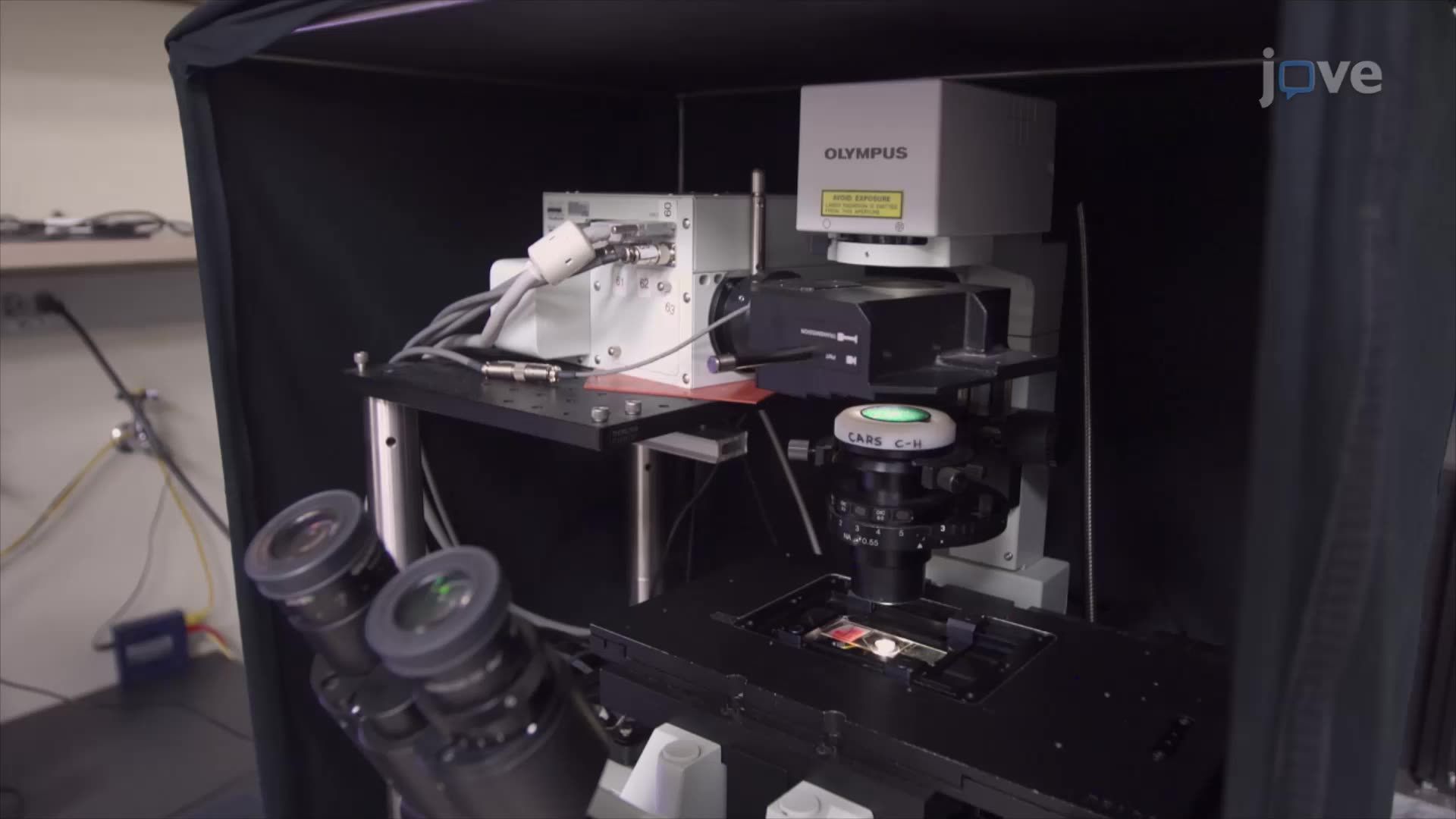 Video: Coherent Anti-Stokes Raman Spectroscopy to Visualize Myelinated ...