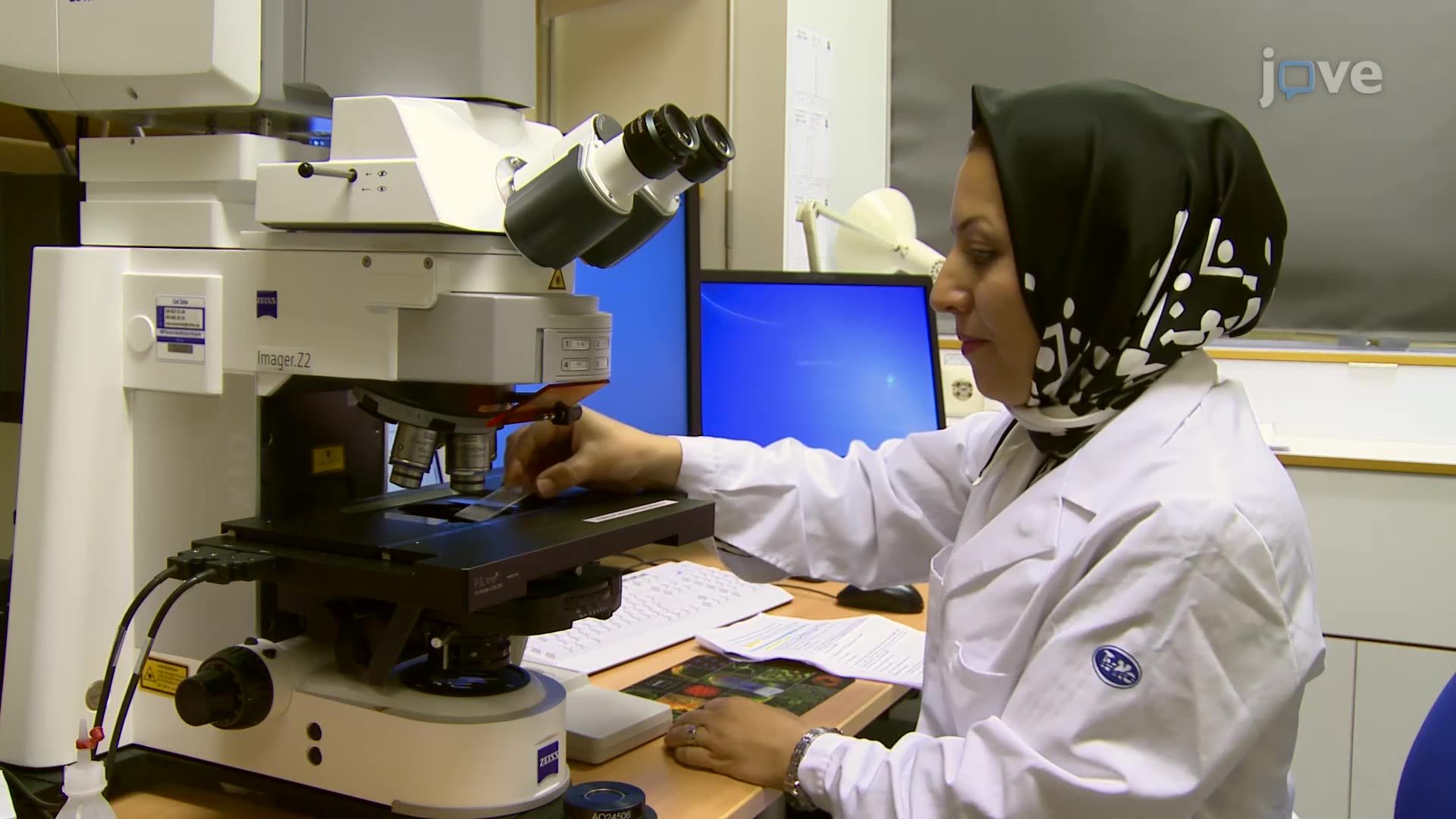 Video: Three-dimensional Imaging of Immunolabeled Astrocytes Using ...