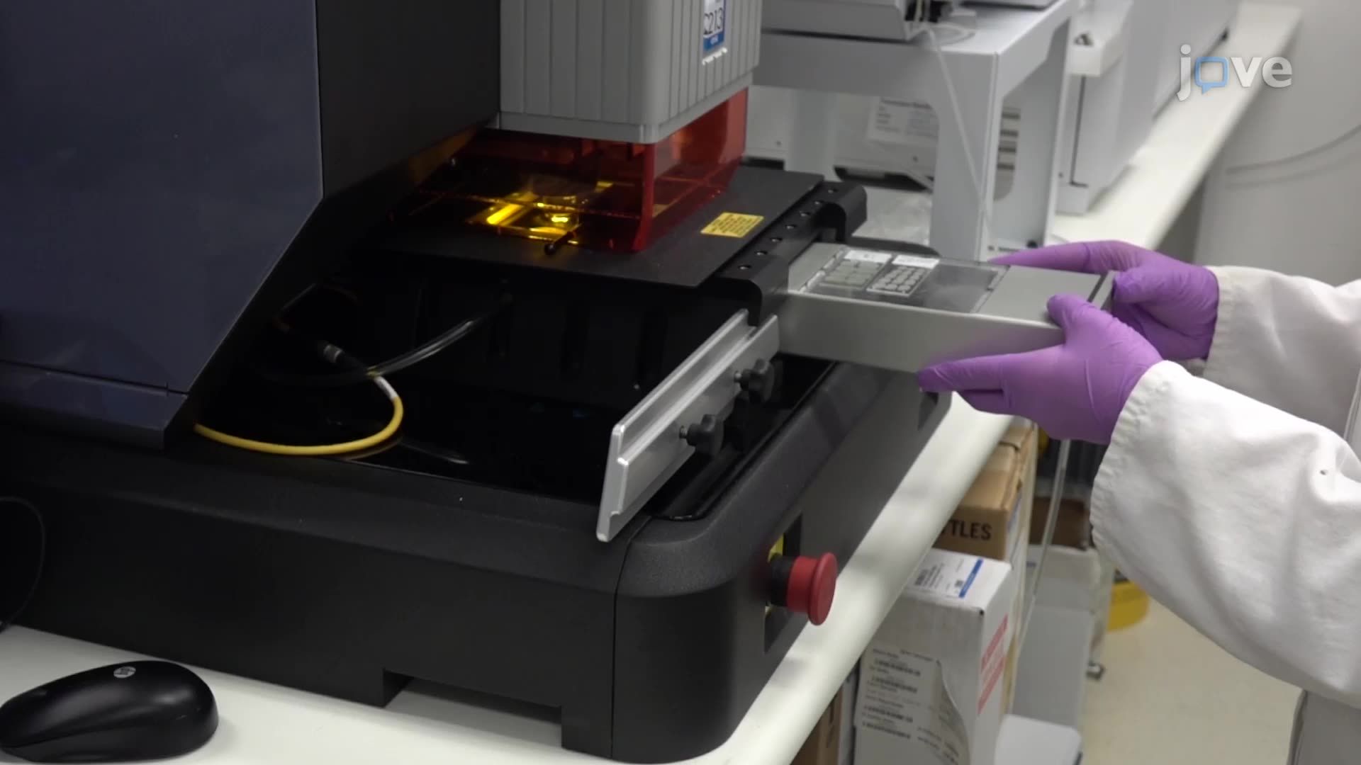 Vidéo: Laser Ablation-Inductively Coupled Plasma-Mass Spectrometry to ...