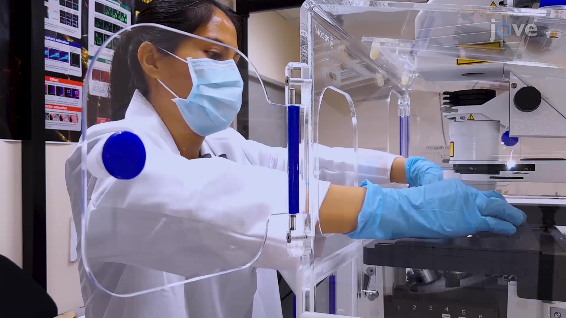 Video: Second Harmonic Generation Imaging in a Rat Model to Study ...