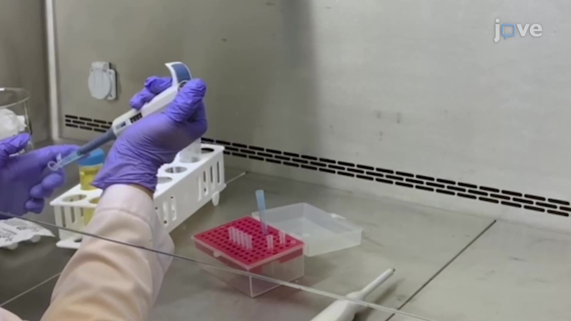 Video: Formulating a Dopamine-Loaded Exosome Carrier System - Experiment