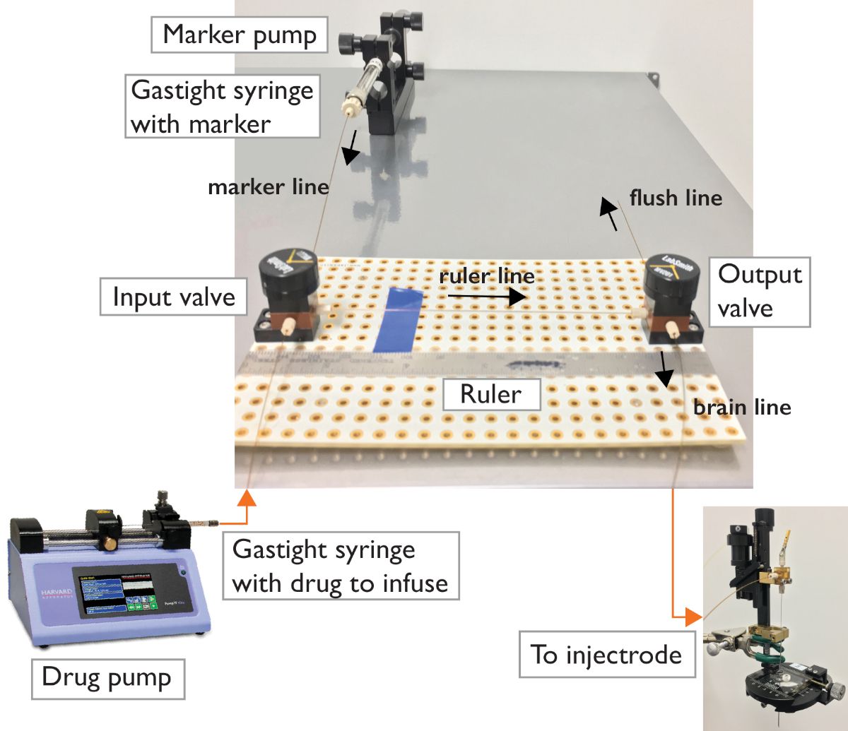 Microfluidic-Based Microinjectrode System for Combined Drug Infusion ...