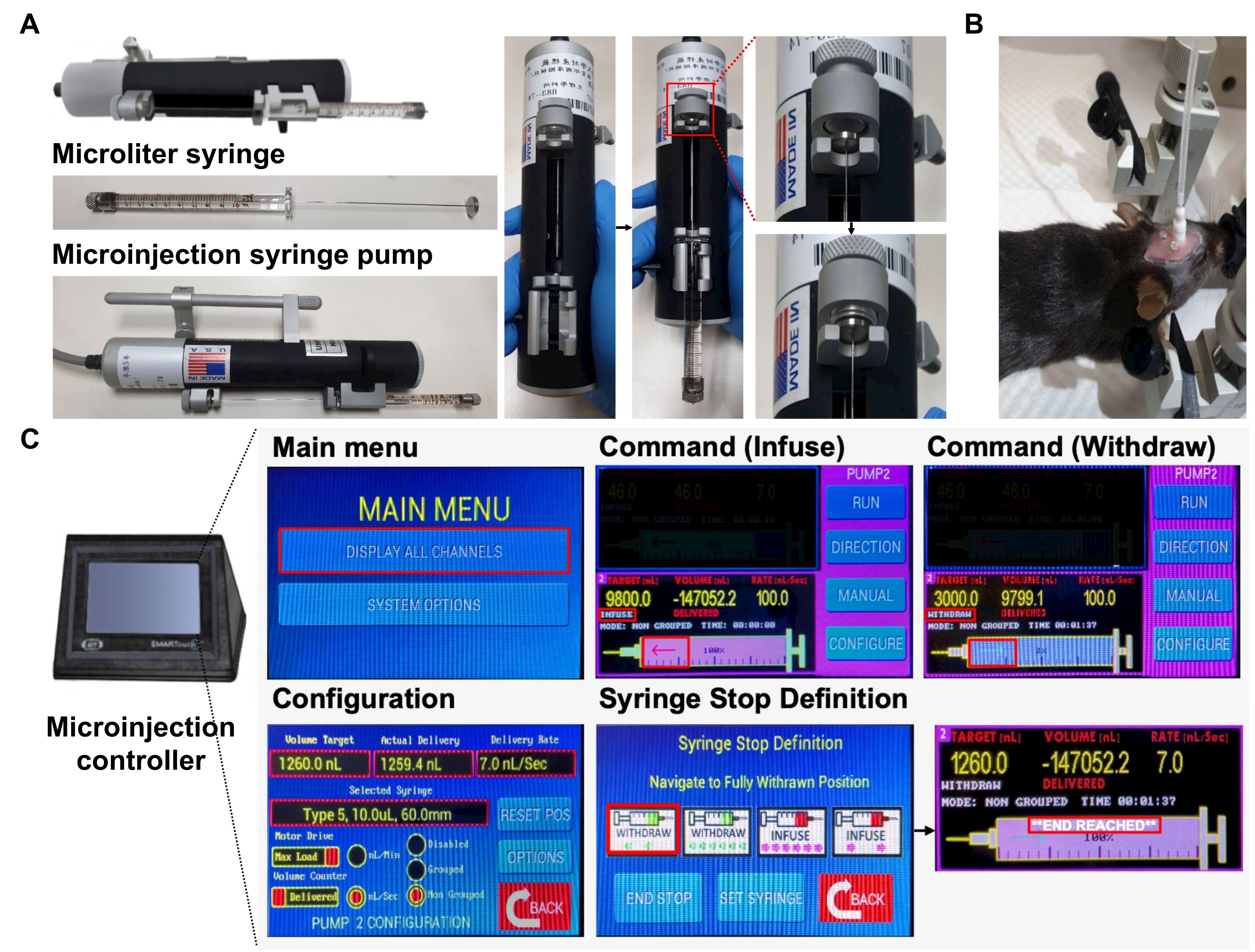 Intracranial Injection of Gut-Derived Microbial Metabolites in a Mouse ...