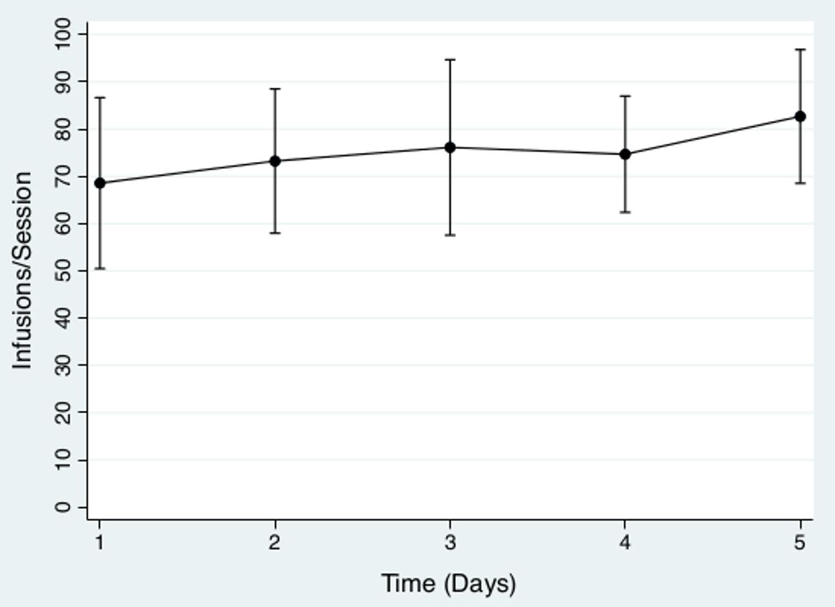 Deep Brain Stimulation as a Treatment for Drug Addiction in a Rat Model