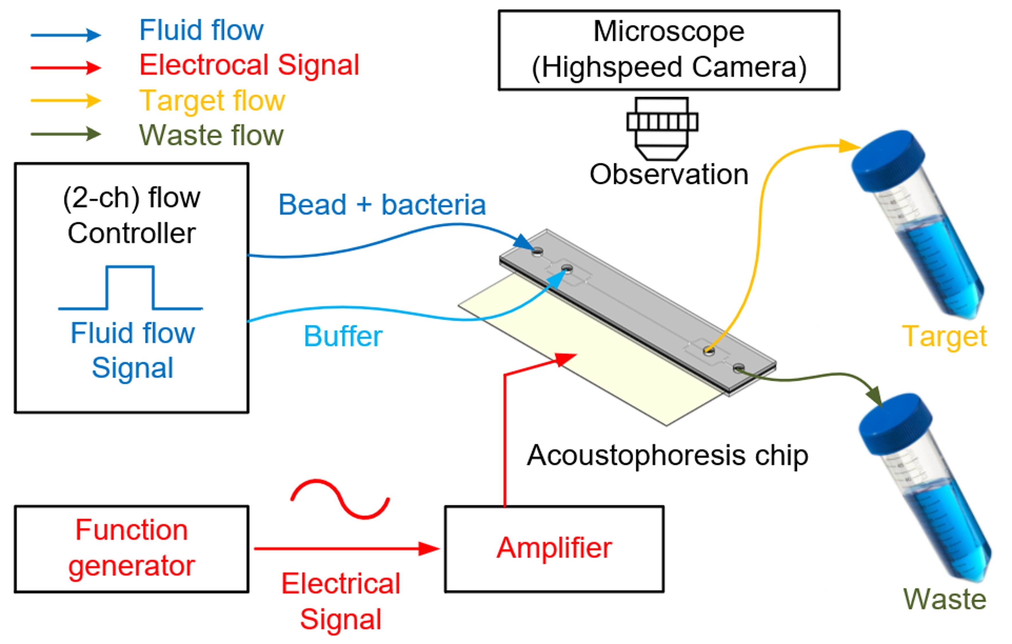 الرحلان المشبو بمساعدة Aptamer لفصل الموائع الدقيقة للبكتيريا سالبة الجرام