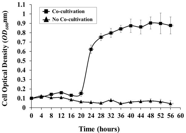 A Co-Cultivation System to Study the Molecular Responses of Plant Hosts ...