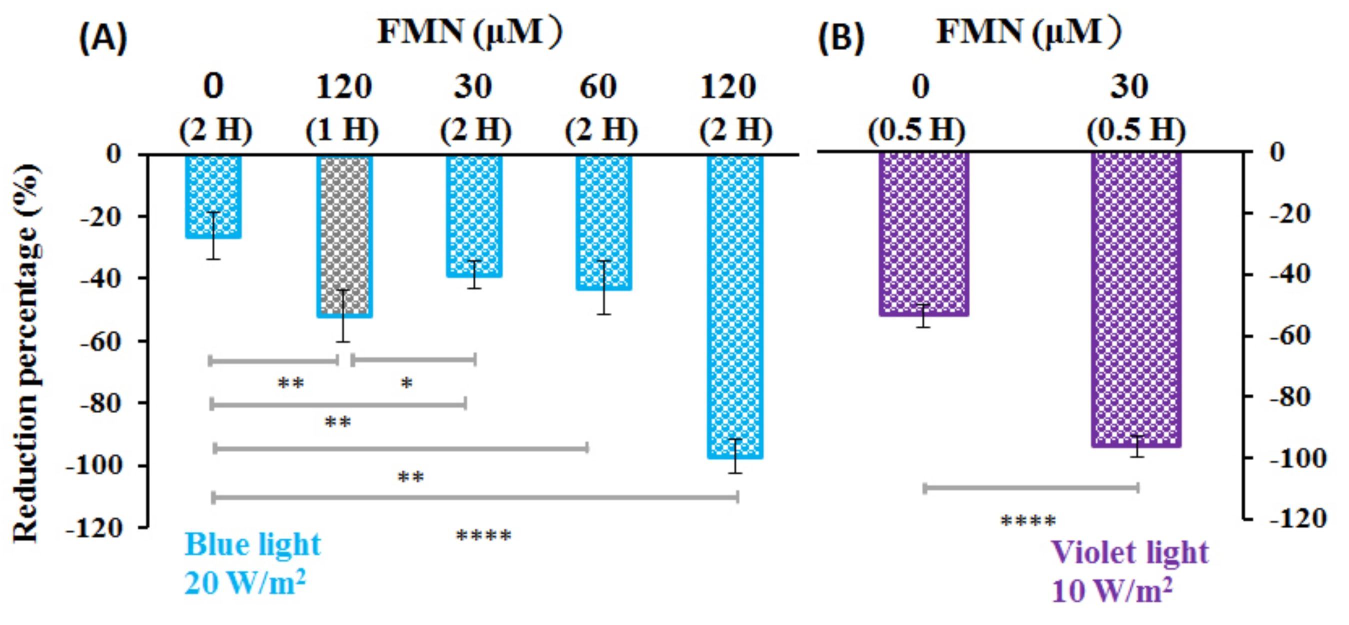 Inactivation of Bacteria Using Light-Activated Flavin Mononucleotide