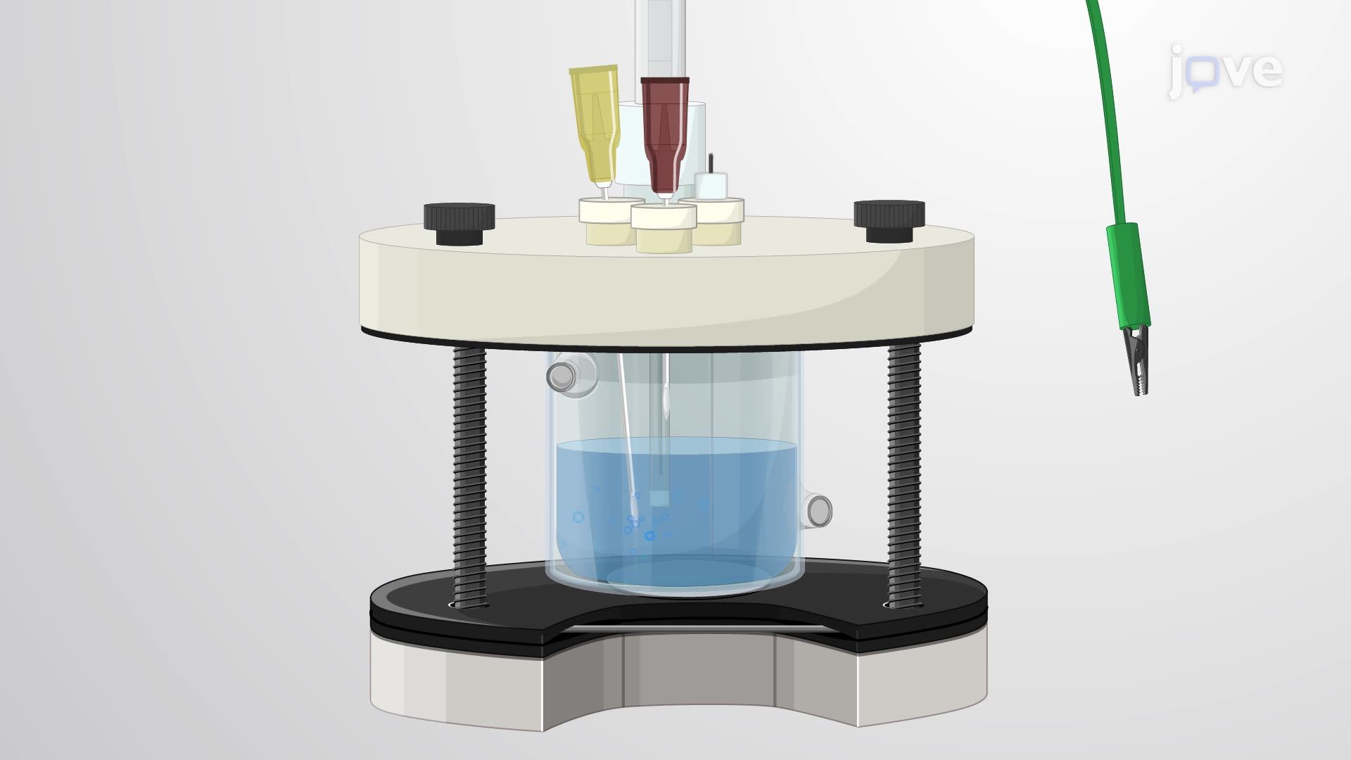 Video: Developing a Bacterial Monolayer Biofilm Using an ...
