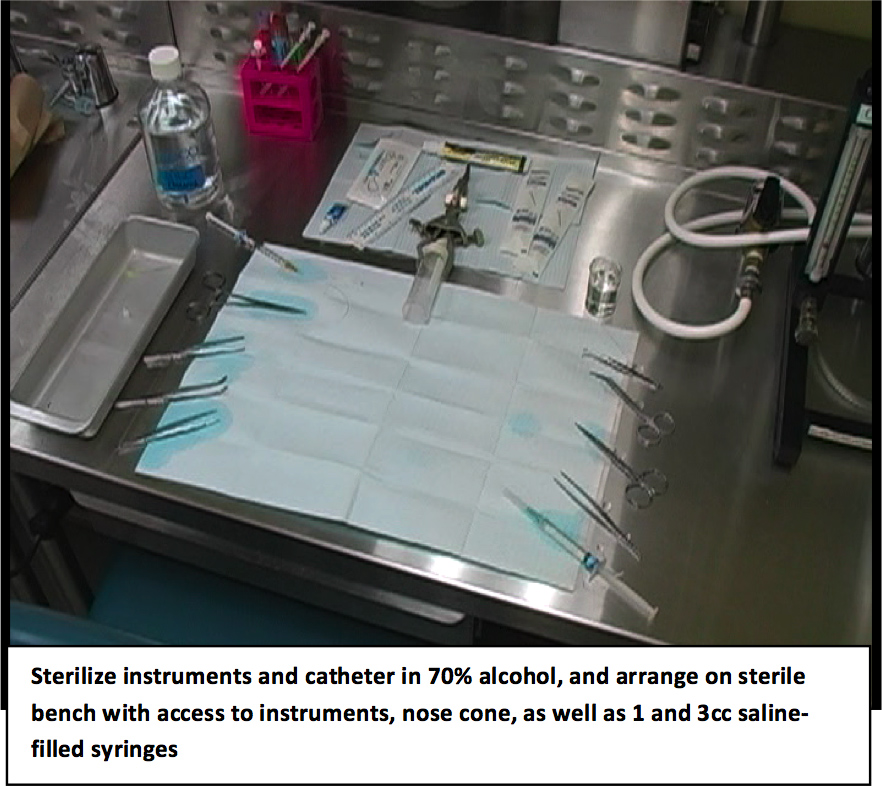 Methods for Intravenous Self Administration in a Mouse Model ...