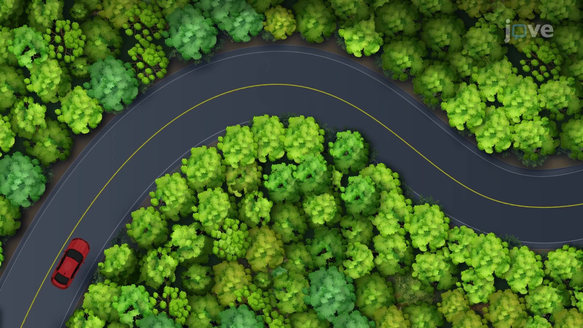 Vídeo: Linha tangente