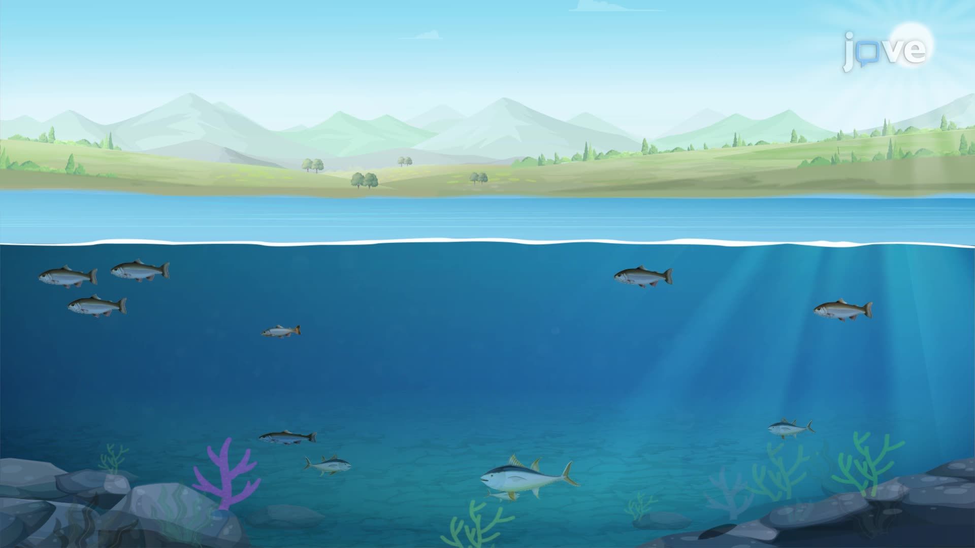 Video: Derivatives: Problem Solving