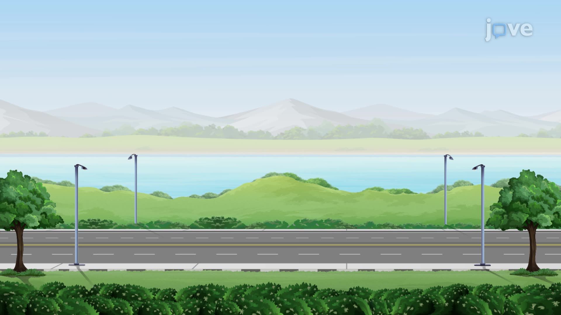 Serie: Simpsons Regel I