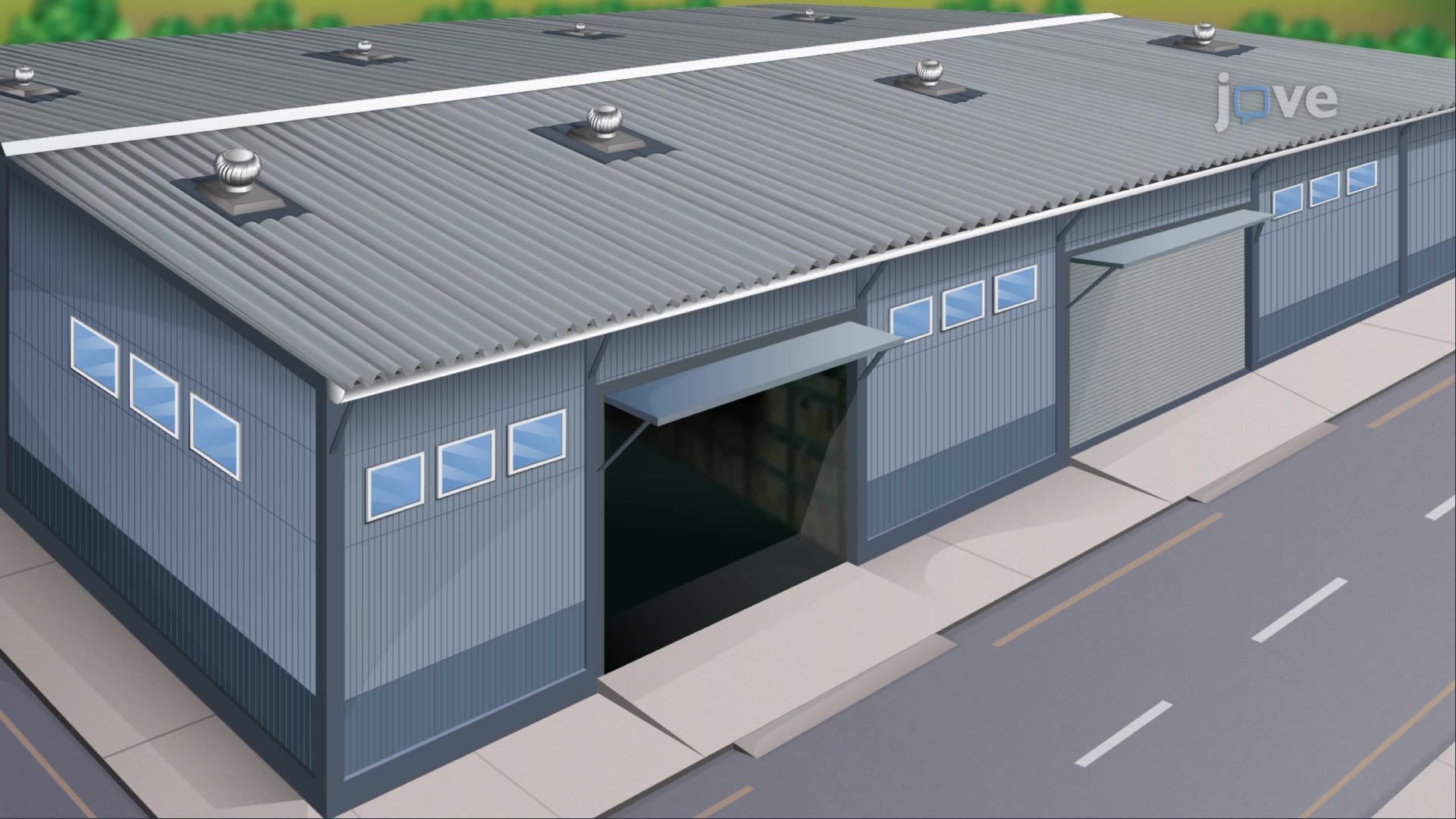 ビデオ: シンプソンズ・ルールII