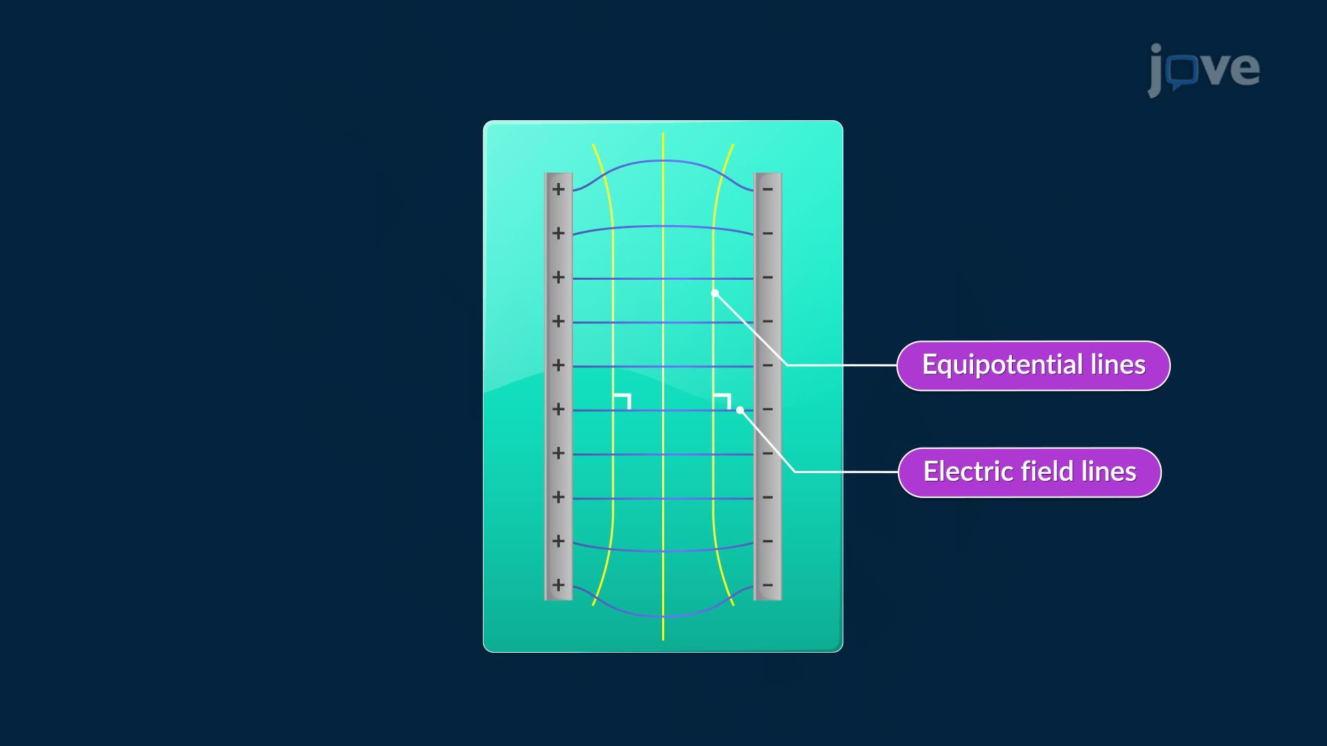 Video: Orthogonal Trajectories
