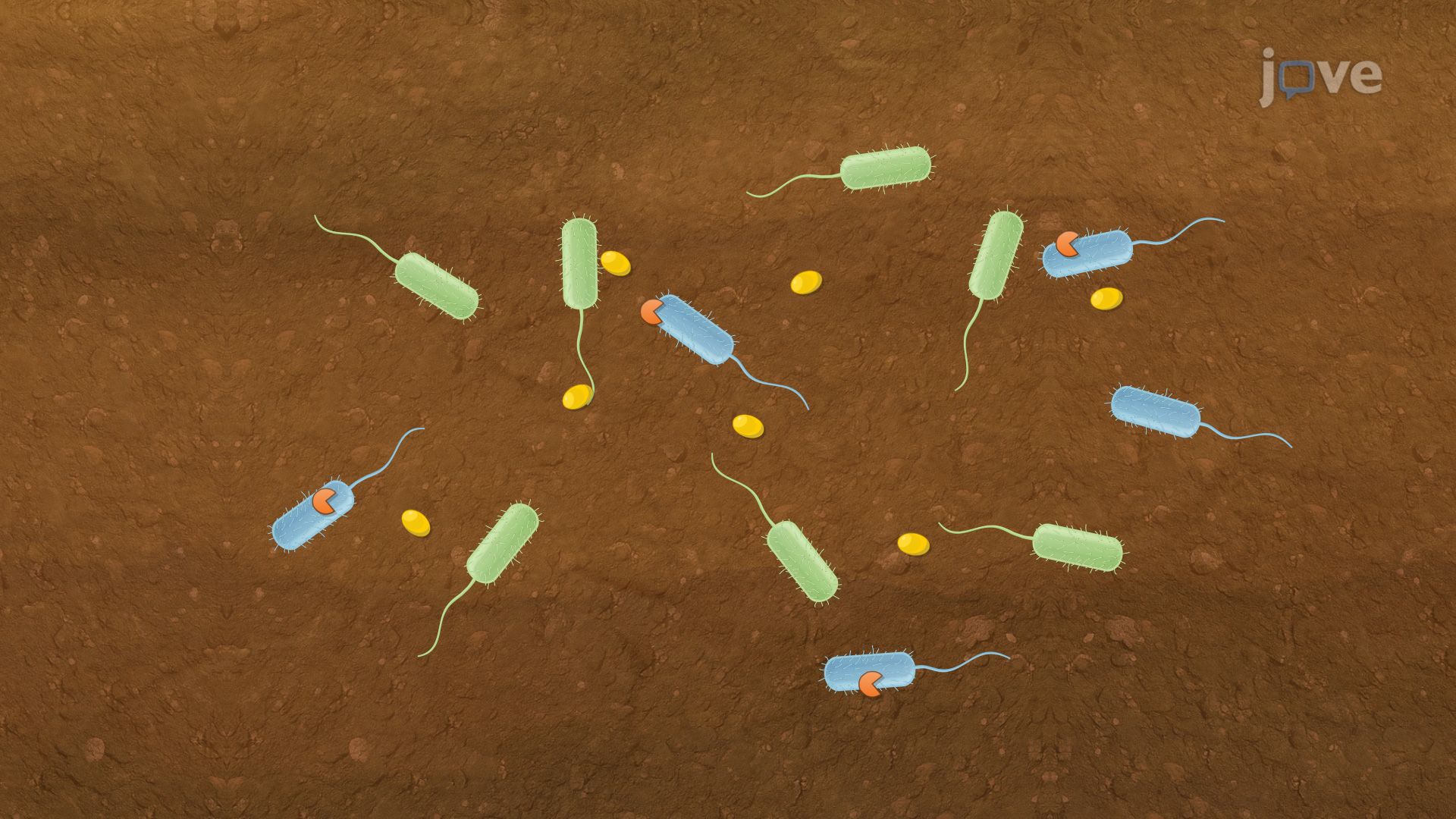 Video: Microbial Interactions: Competition