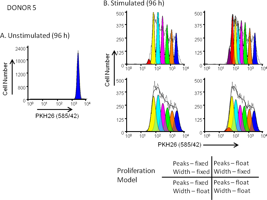Optimized Staining and Proliferation Modeling Methods for Cell Division ...