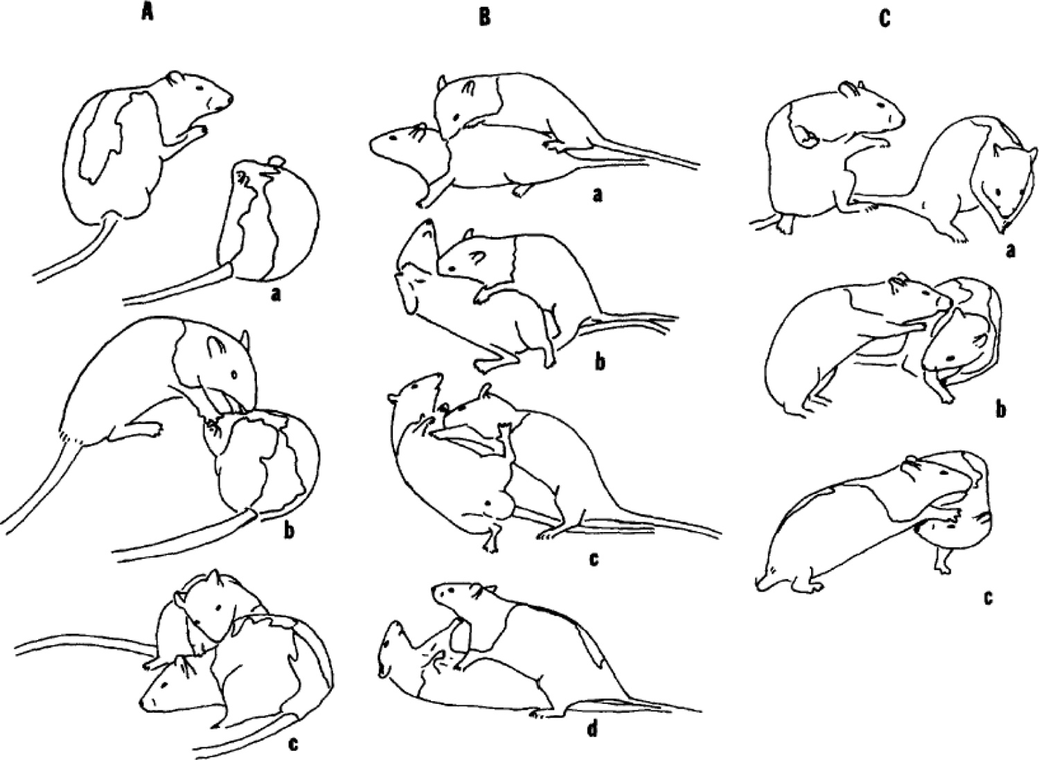 Peering into the Dynamics of Social Interactions: Measuring Play ...
