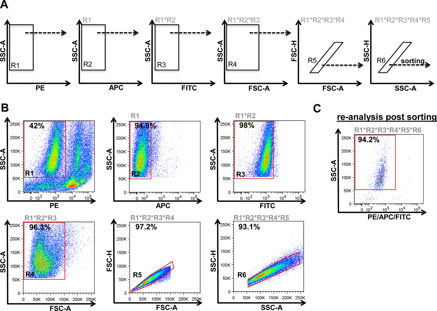 Flow Cytometric Isolation of Primary Murine Type II Alveolar Epithelial ...