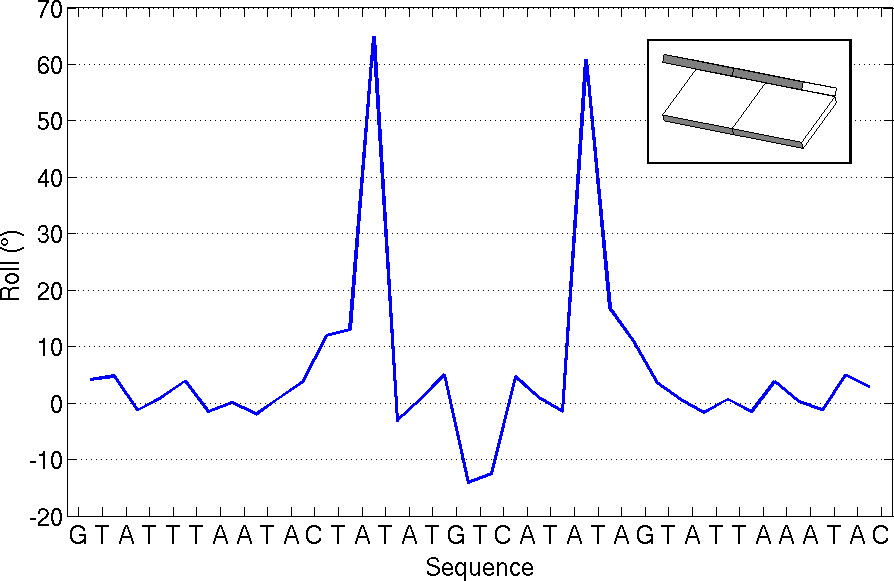 Analyzing and Building Nucleic Acid Structures with 3DNA | Protocol