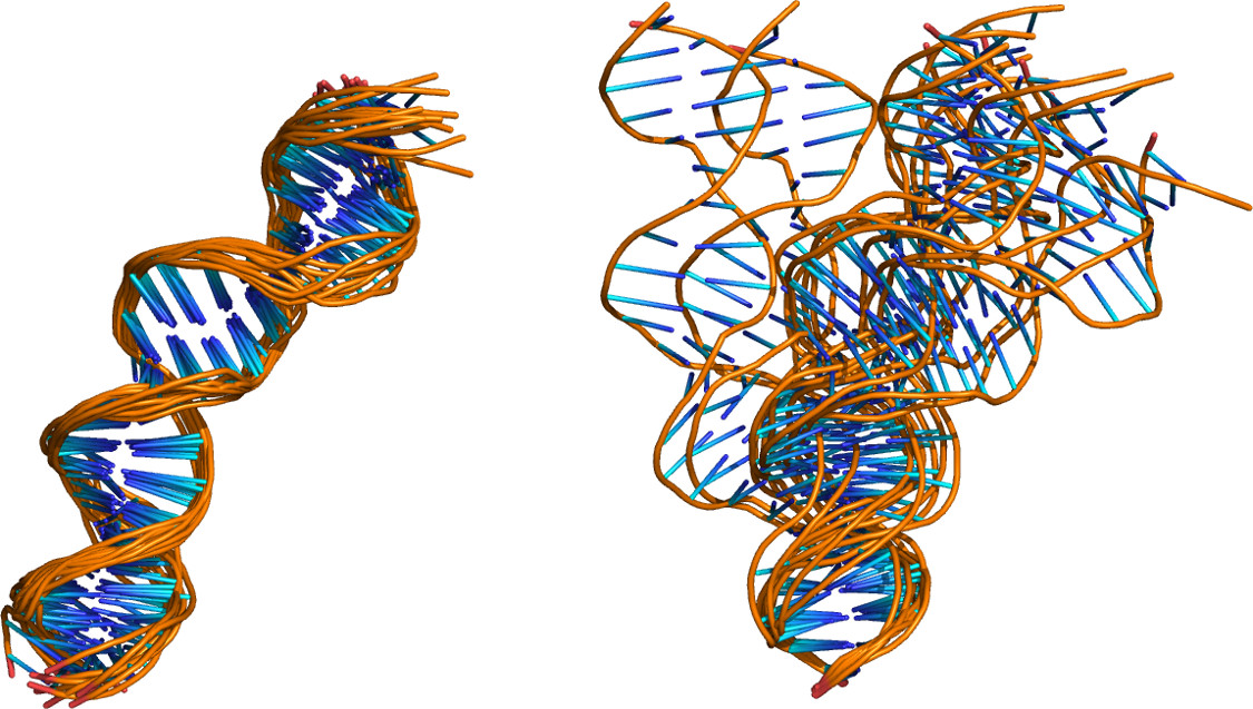 Analyzing and Building Nucleic Acid Structures with 3DNA | Protocol
