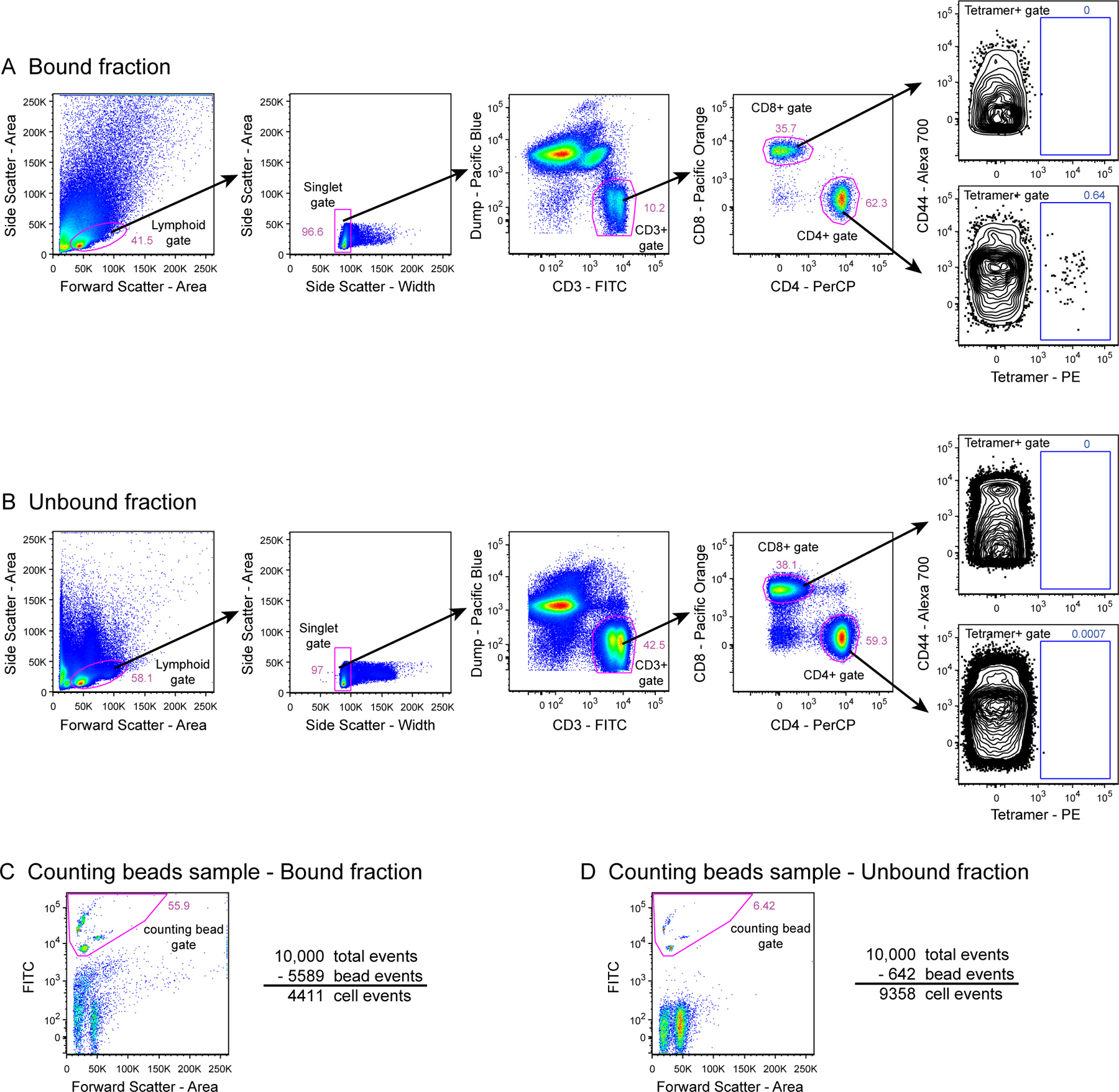 Peptide:MHC Tetramer-based Enrichment of Epitope-specific T cells