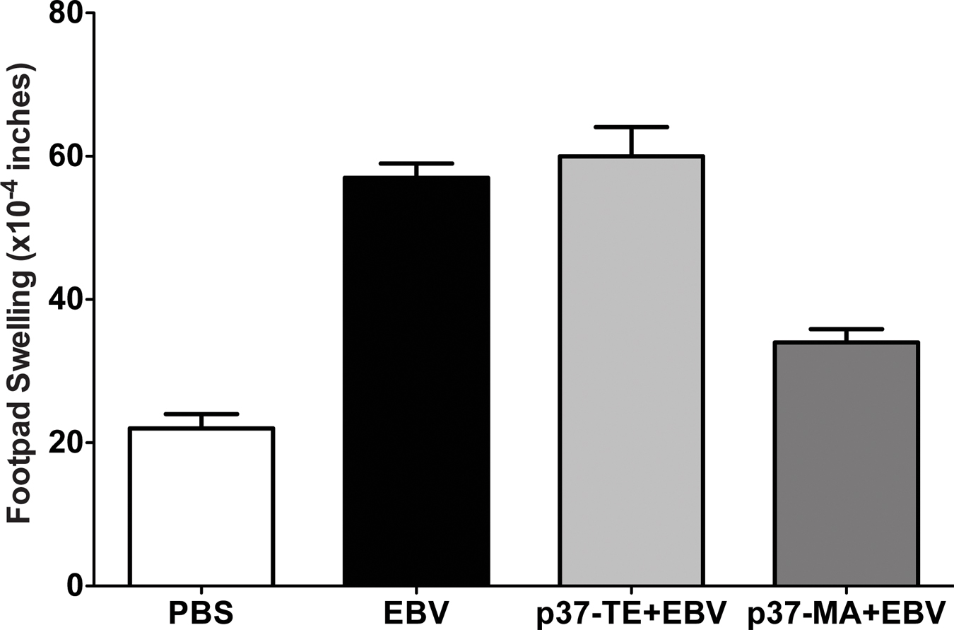 Trans-vivo Delayed Type Hypersensitivity Assay for Antigen Specific ...