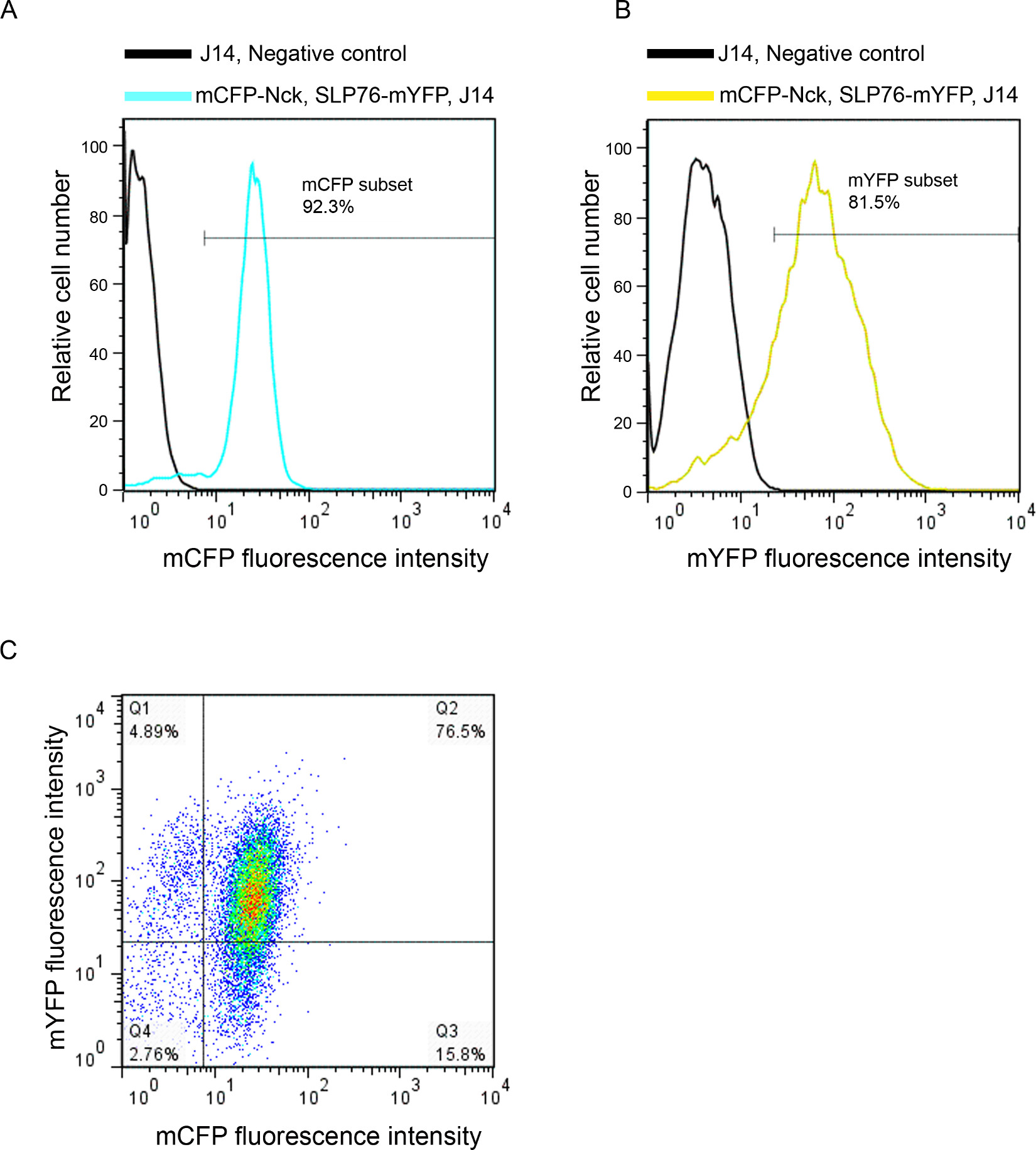 Real-time Live Imaging of T-cell Signaling Complex Formation